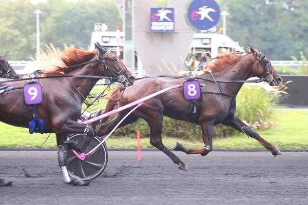 PRIX J. DE VAULOGE-CRITERIUM 3 ANS Q4 2024 Partants et Pronostics ...