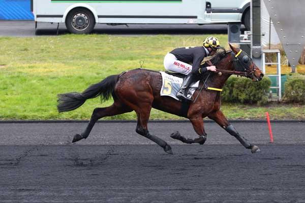 PRIX DE FALOT 2025 Partants et Pronostics - PARIS VINCENNES - Réunion n ...