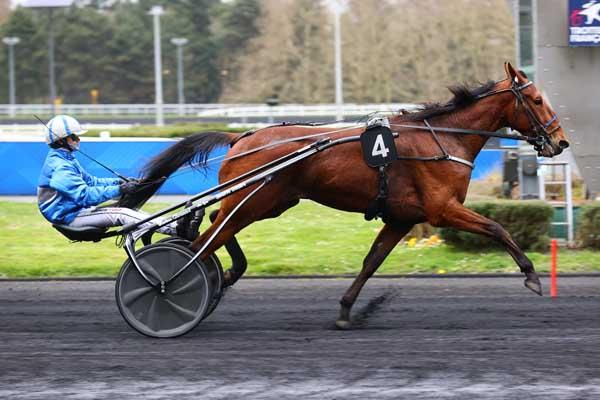 PRIX ADRASTEA 2025 Partants et Pronostics - PARIS VINCENNES - Réunion n ...