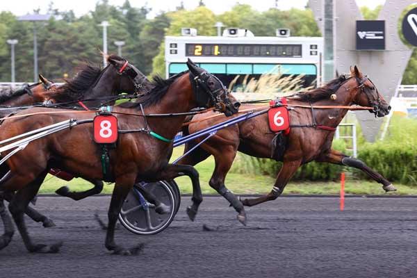 PRIX JOCKEY-CRITERIUM 5 ANS Q2 2025 Partants et Pronostics - PARIS ...