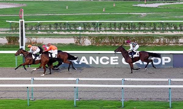 PRIX DU MONT LION 2025 Statistiques - DEAUVILLE - Réunion n°5 Course n ...