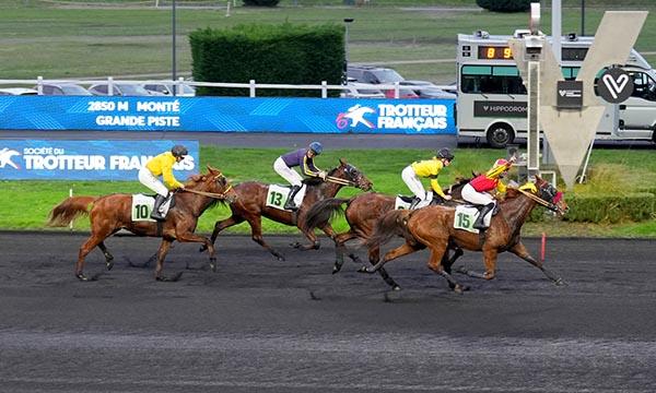 PRIX PIERRE GIFFARD 2025 Partants et Pronostics - PARIS VINCENNES ...