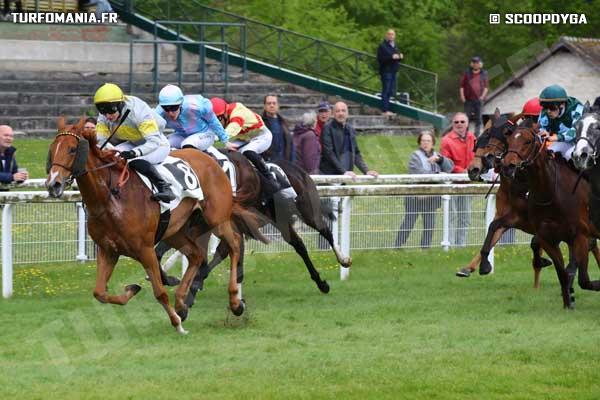 HOUBI - Cheval - Retrouvez toutes les performances de HOUBI