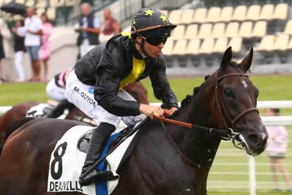 LUCKY WINE - Cheval - Retrouvez toutes les performances de LUCKY WINE