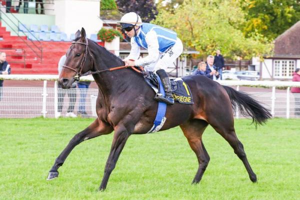 GAMESTARS - Cheval - Retrouvez toutes les performances de GAMESTARS