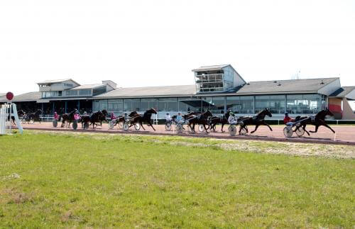 PRIX BELINA JOSSELYN 2026 – Partants et Pronostics - AGEN