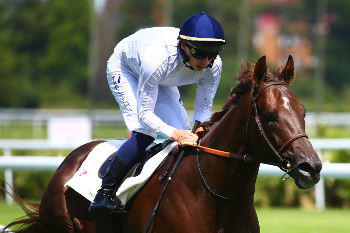 A L'AFFICHE : Le prix d'Harcourt ce dimanche à Longchamp, avec SKALETI ...