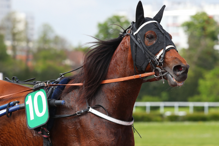 Elitloppet 2024 - HORSY DREAM : 1'08 pour un HORSY DREAM supersonique à ...