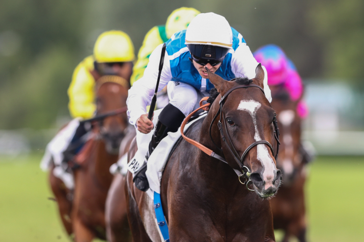 Prix de l'Arc de Triomphe 20205 : André Fabre, deux partants, avec ...