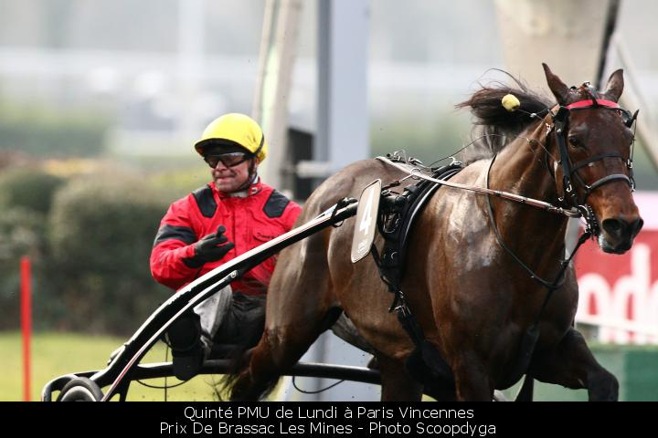 Pronostic Quinté+ PMU de Lundi à Paris Vincennes : JAMAICA BROWN dans ...