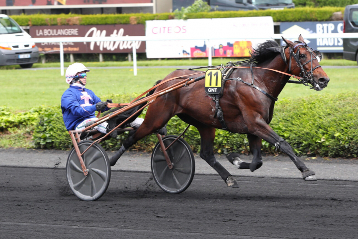 Laval - Grand National du Trot : 6ème étape du GNT mercredi à Laval