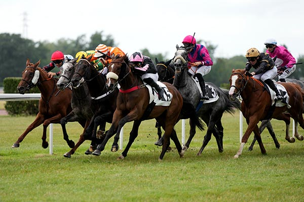 Résultat du Quinté du Lundi 08 Juin à Angers (Résultats PMU)