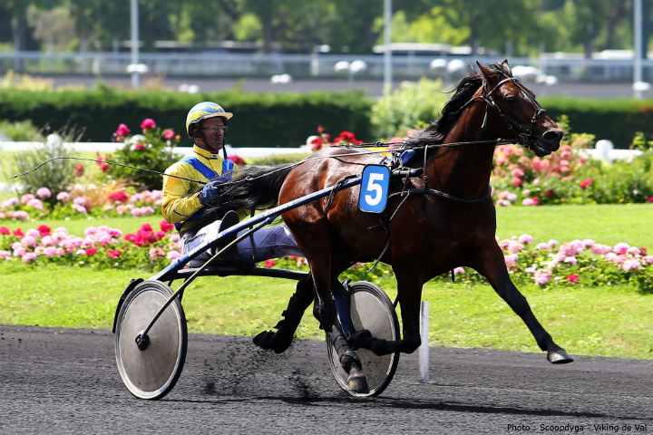 Viking de Val gagne le tour de chauffe
